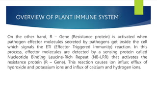 STEM 12 Biology 2: Plant and Animal Immune System | PPTX