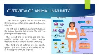STEM 12 Biology 2: Plant and Animal Immune System | PPTX