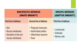STEM 12 Biology 2: Plant and Animal Immune System | PPTX