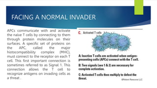STEM 12 Biology 2: Plant and Animal Immune System | PPTX