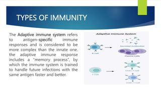 STEM 12 Biology 2: Plant and Animal Immune System | PPTX
