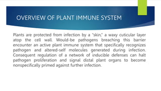 STEM 12 Biology 2: Plant and Animal Immune System | PPTX