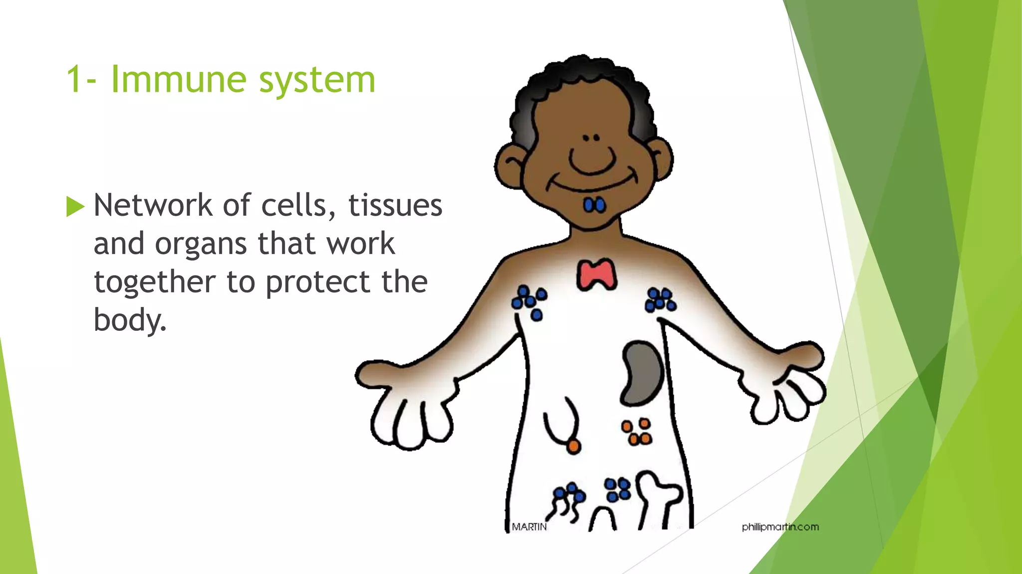 Immune and endocrine system | PPTX
