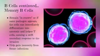 Cells and Function of the Immune System (AP BIOLOGY) | PPTX