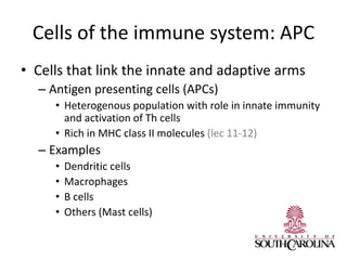immune cells.ppt