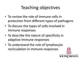 immune cells.ppt