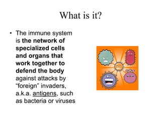 Immune cells.ppt
