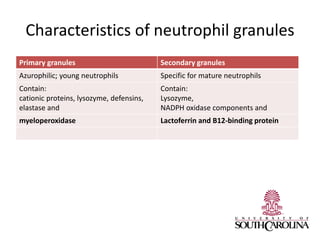 immune cells.ppt
