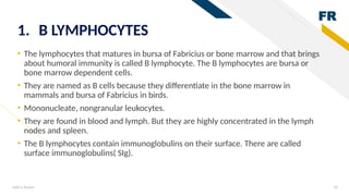 Cells of immune system, Lymphocytes, Macrophages, Dendritic Cells ...