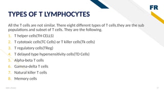 Cells of immune system, Lymphocytes, Macrophages, Dendritic Cells ...