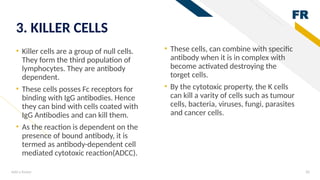 Cells of immune system, Lymphocytes, Macrophages, Dendritic Cells ...