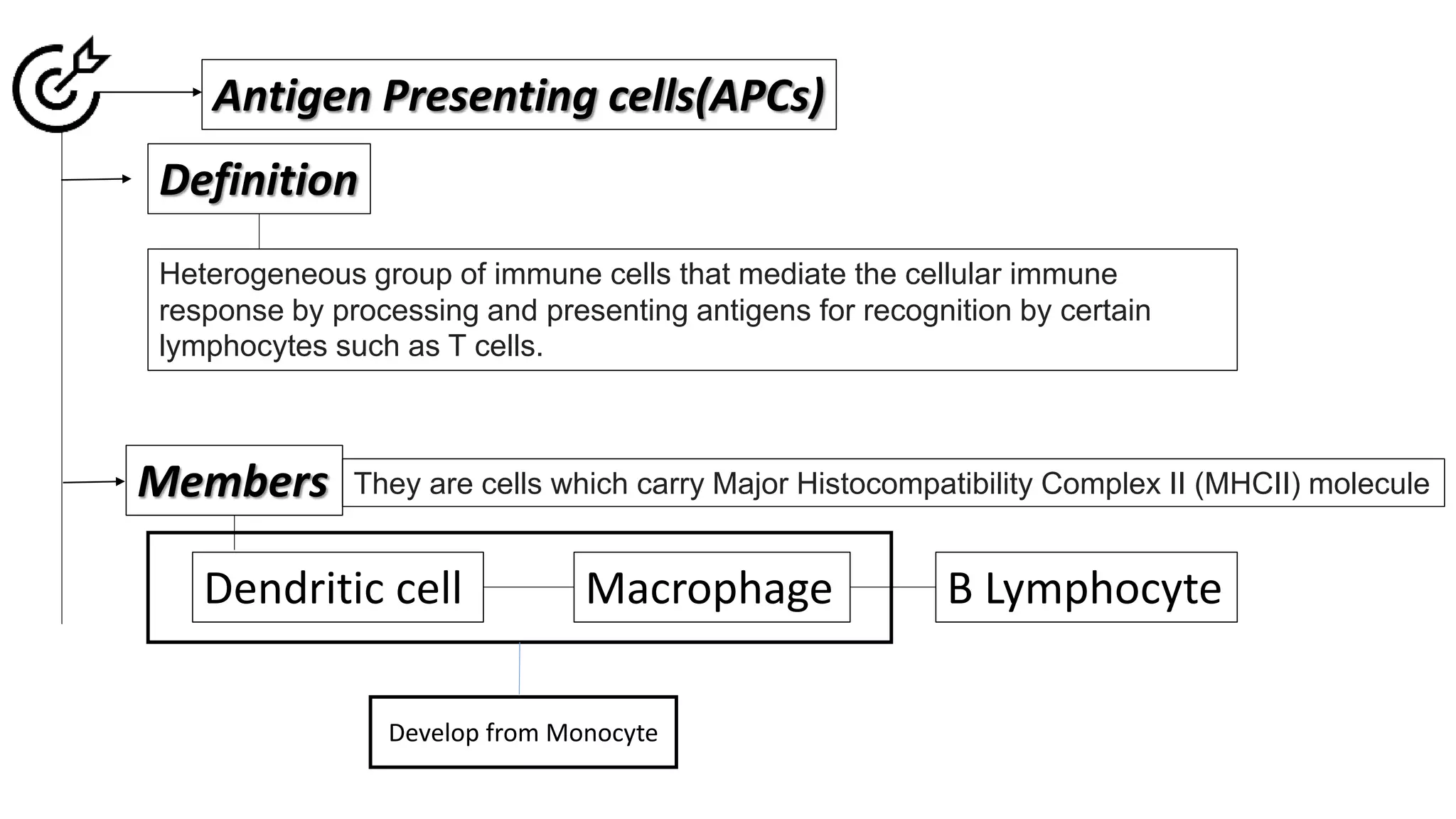 Histology of Immune cells | PPTX