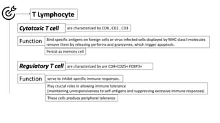 Histology of Immune cells | PPTX