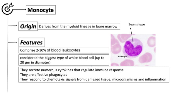 Histology of Immune cells | PPTX