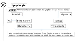 Histology of Immune cells | PPTX