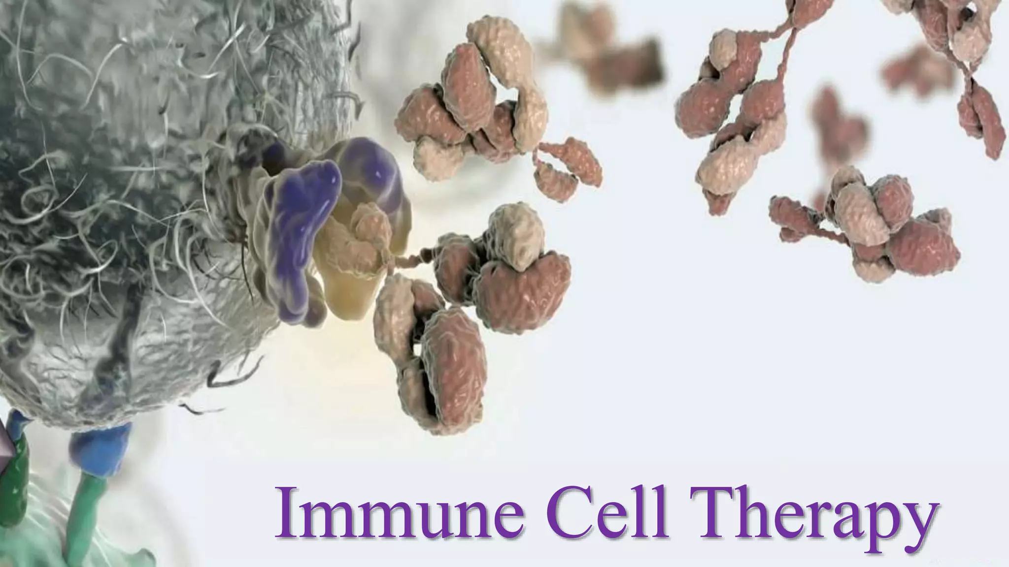 Immune cell therapy | PPTX