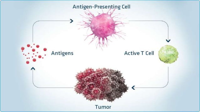 Immune cell therapy | PPTX