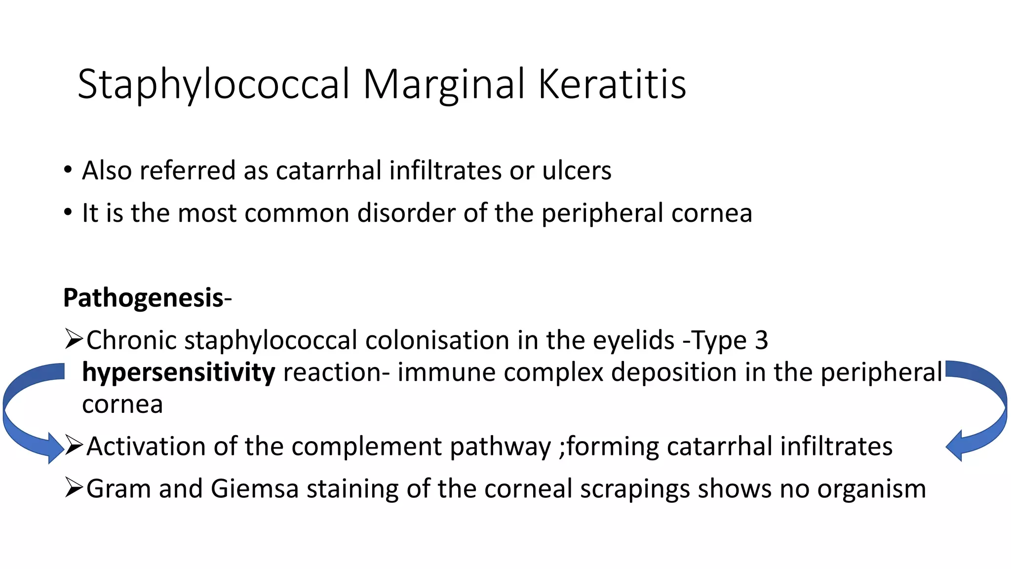 Immune disorders of the cornea | PPTX
