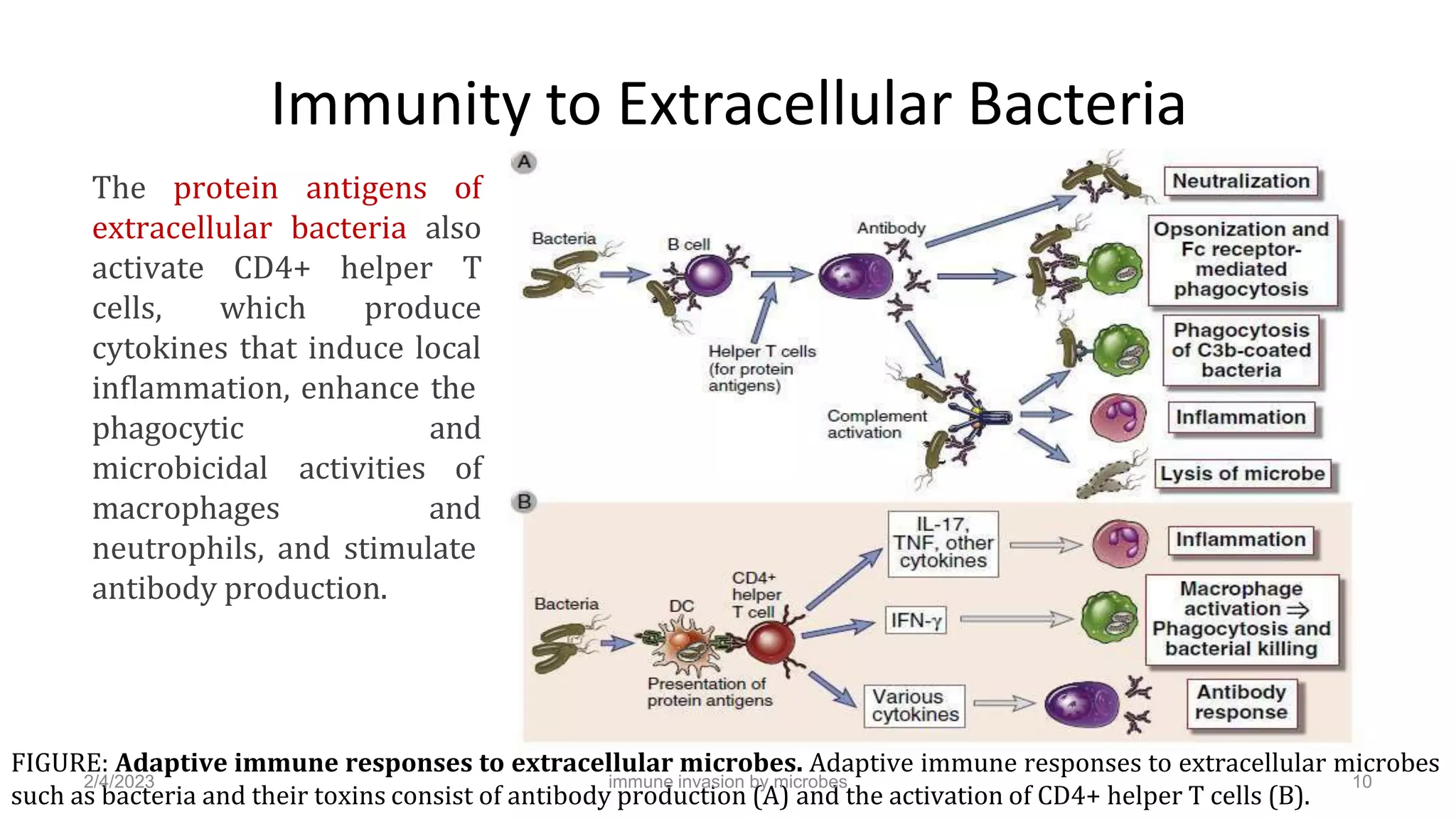 IMMUNE ENVASION BY MICROBES.pptx