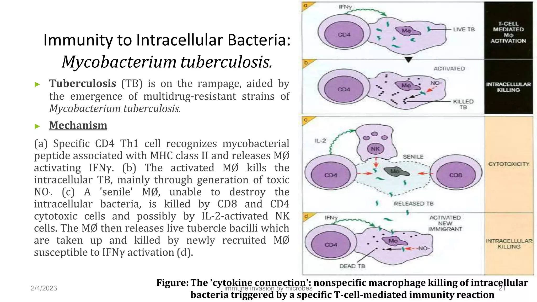 IMMUNE ENVASION BY MICROBES.pptx