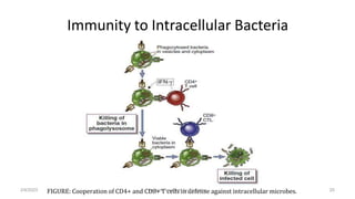 IMMUNE ENVASION BY MICROBES.pptx