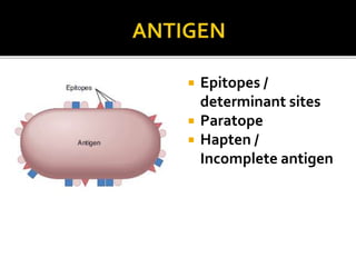 Immune mechanisms ii | PPTX | Genetics | Science