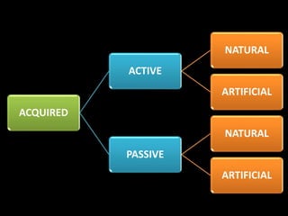 Immune mediated lesions of oro facial region | PPT