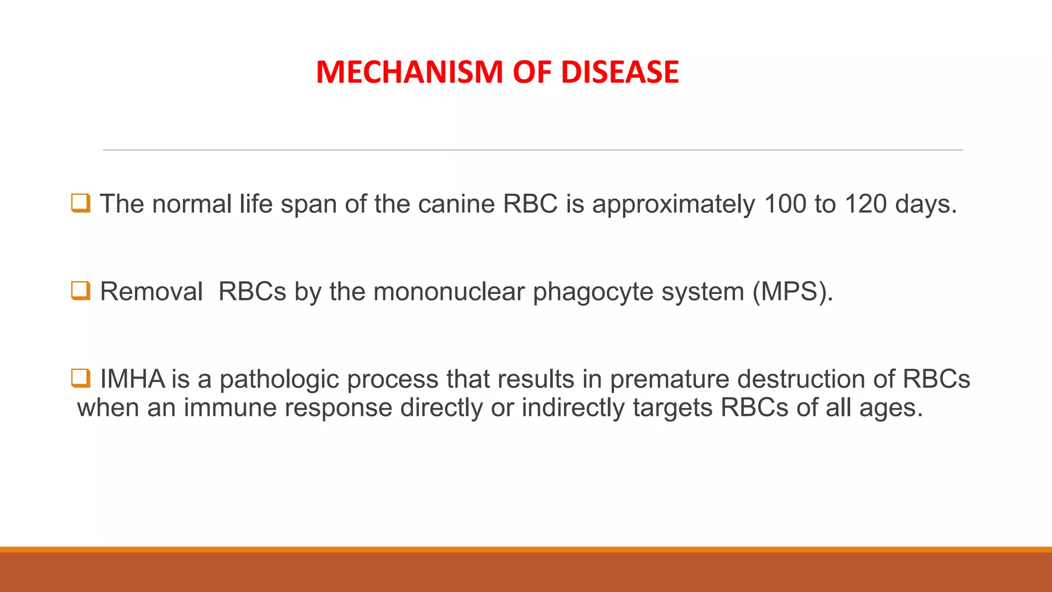Immune mediated haemolytic anemia in dogs | PPTX