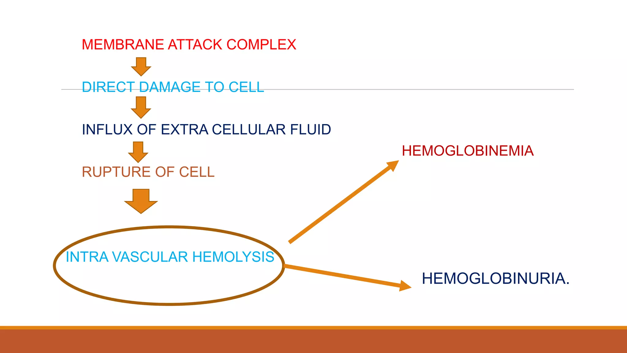 Immune mediated haemolytic anemia in dogs | PPTX