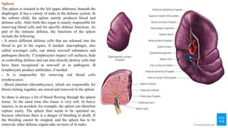 The immune system is a complex network of organs, cells and proteins ...