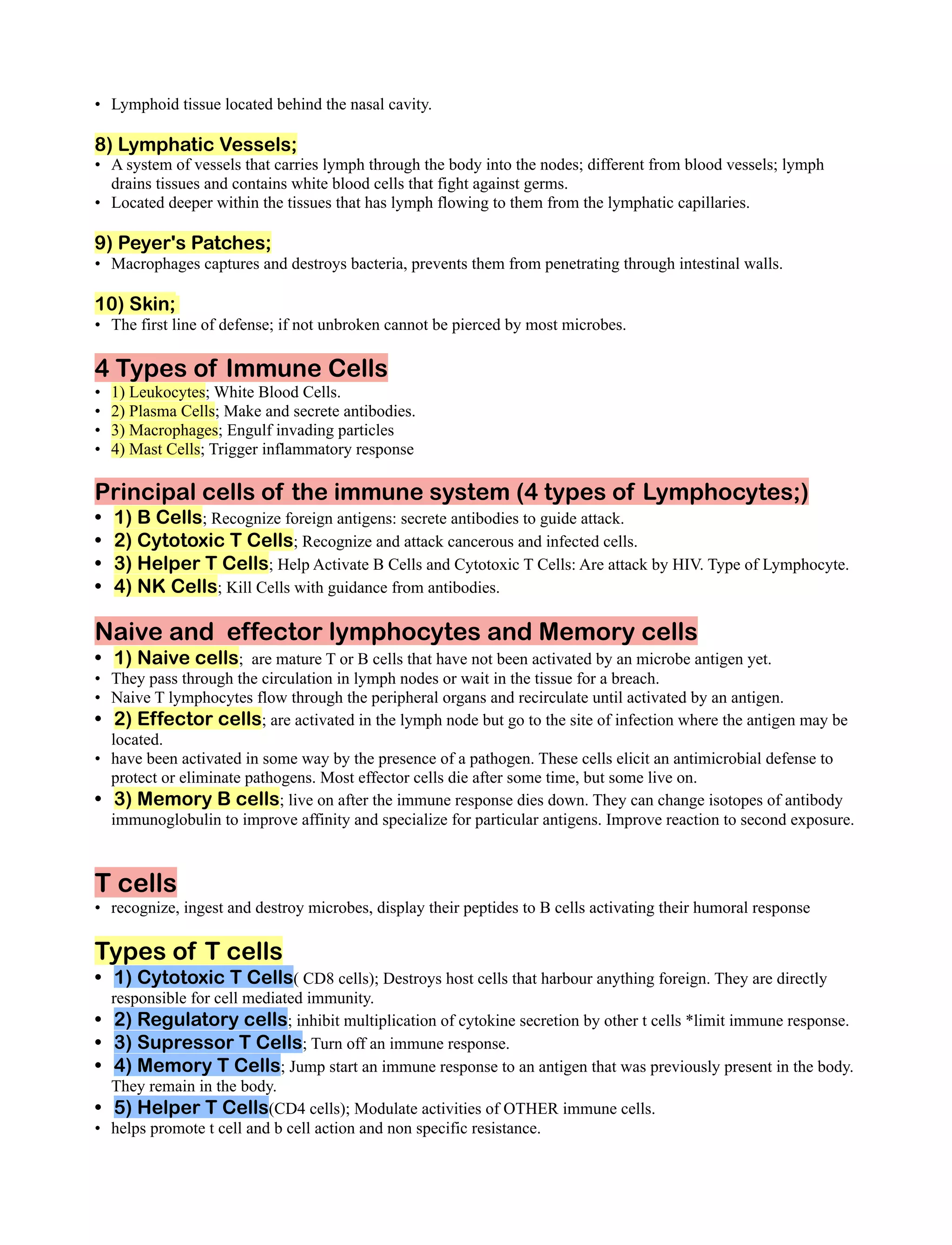 Immune Organs - organs of the immune system and immune cells .pdf | Ear ...