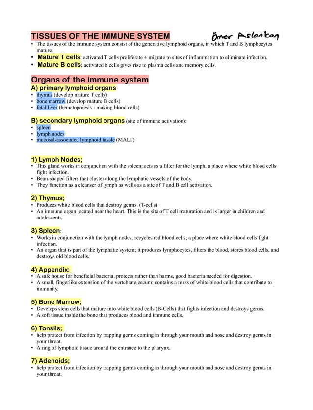 Immune Organs - organs of the immune system and immune cells .pdf | Ear, Nose and Throat ...