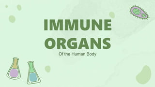 immune organs final-1.pptx