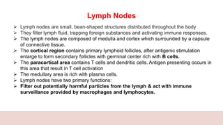 Immune organs and diseases related to it | PPTX