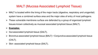 Immune organs and diseases related to it | PPT
