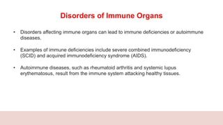 Immune organs and diseases related to it | PPTX