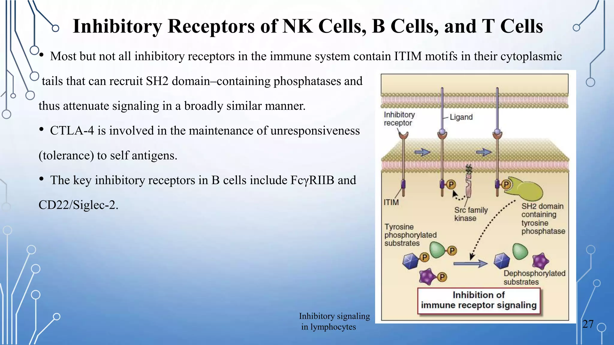 Immune receptors | PPTX