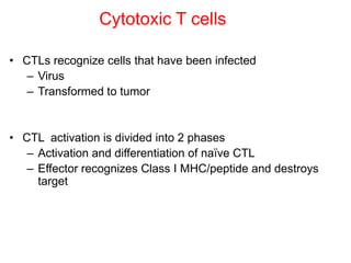 Immune response | PPTX