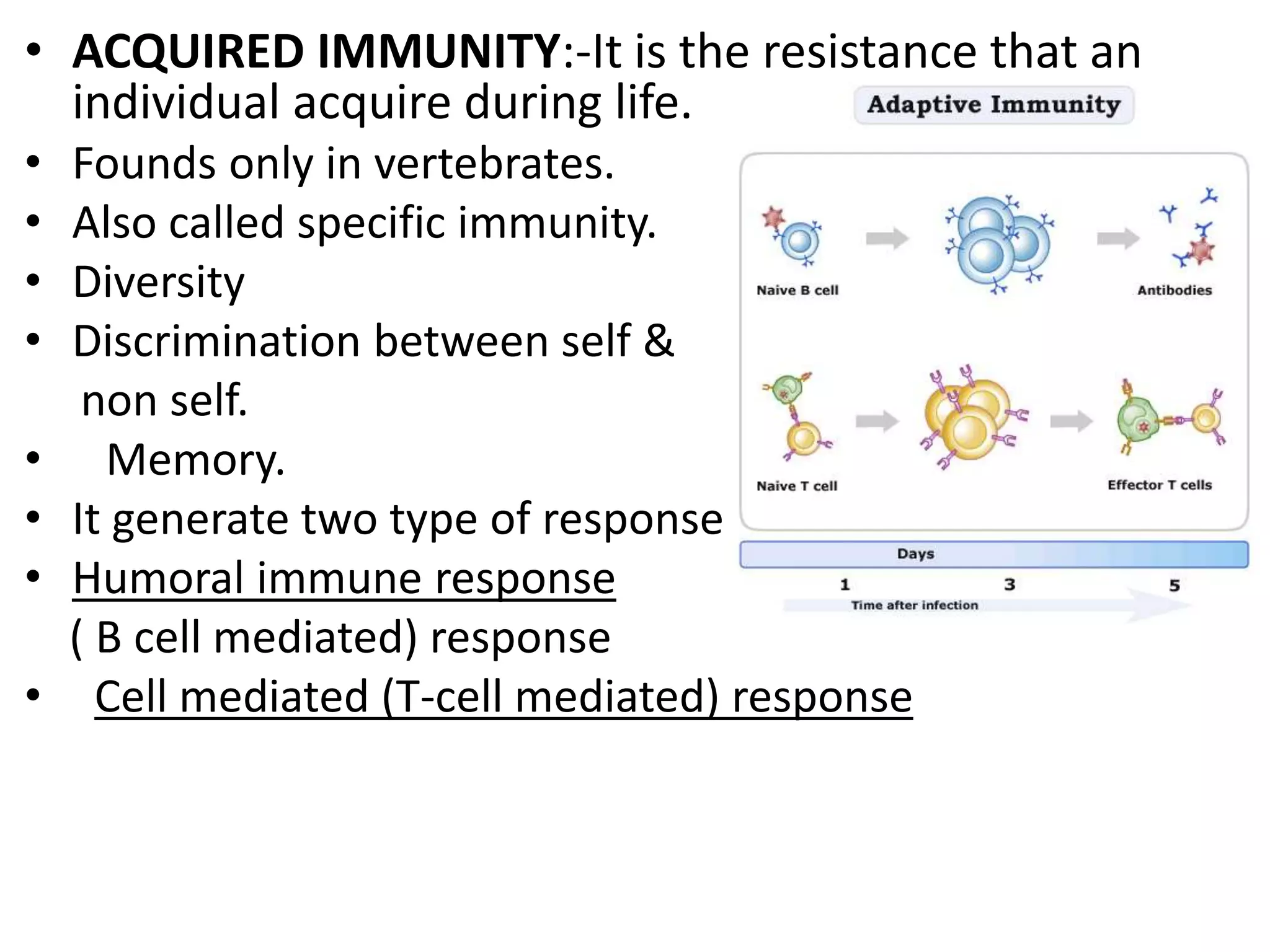 Immune response.ppt