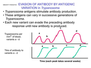 immune response against protozoa.ppt