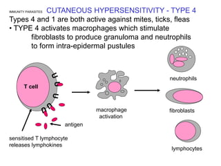 immune response against protozoa.ppt