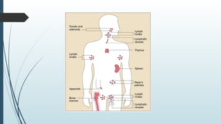 Immune Response in Health and .ppt