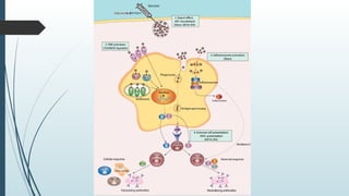 Immune Response in Health and .ppt