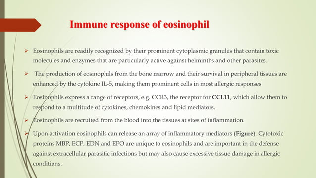 Immune response of white blood cells | PPT