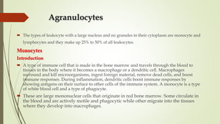 Immune response of white blood cells | PPT