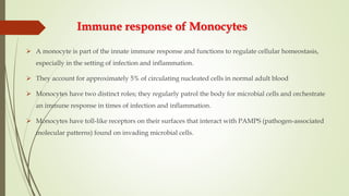Immune response of white blood cells | PPT