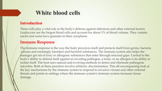 Immune response of white blood cells | PPT