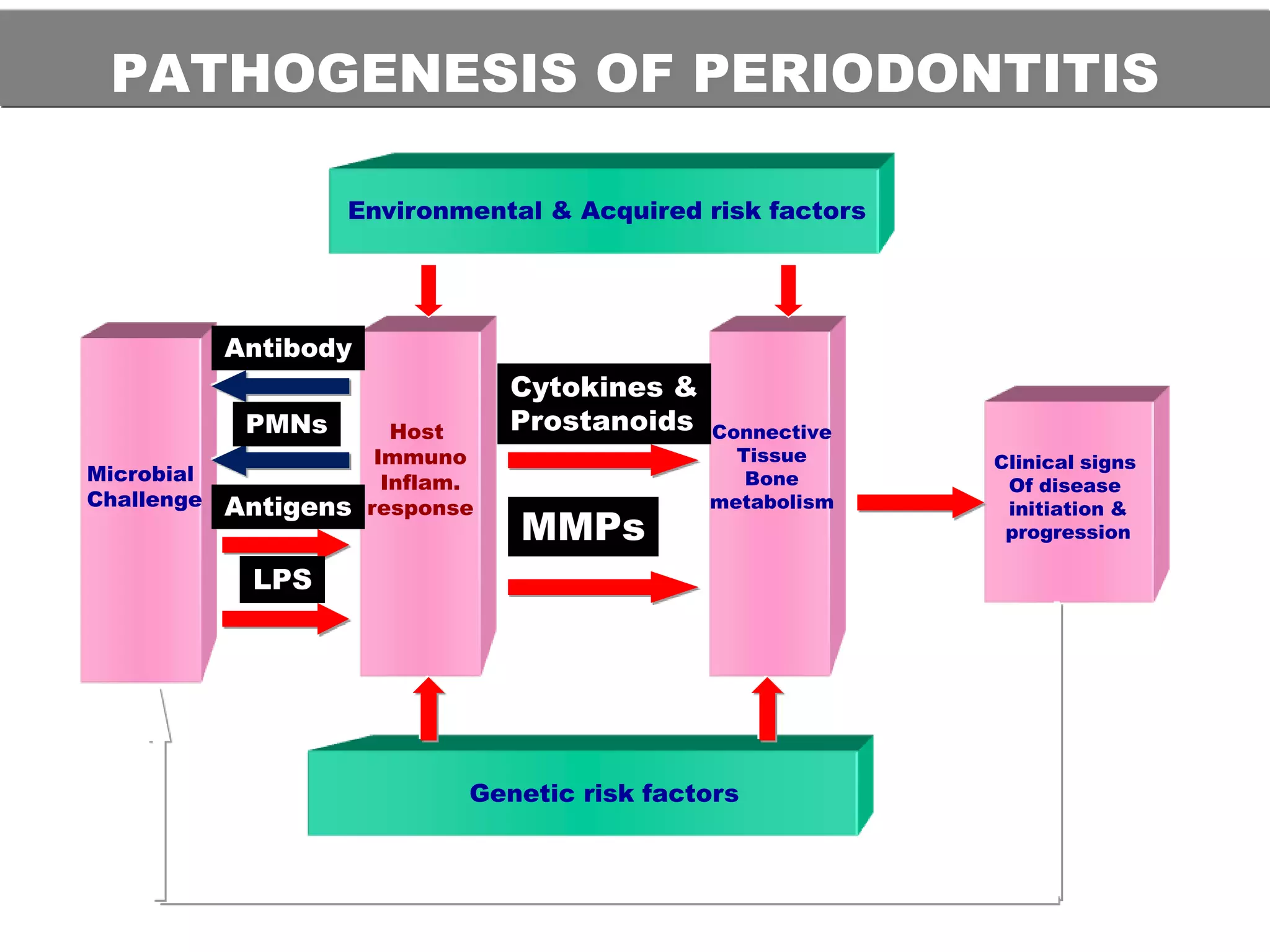 Immune responses in periodontal disease final.pptx