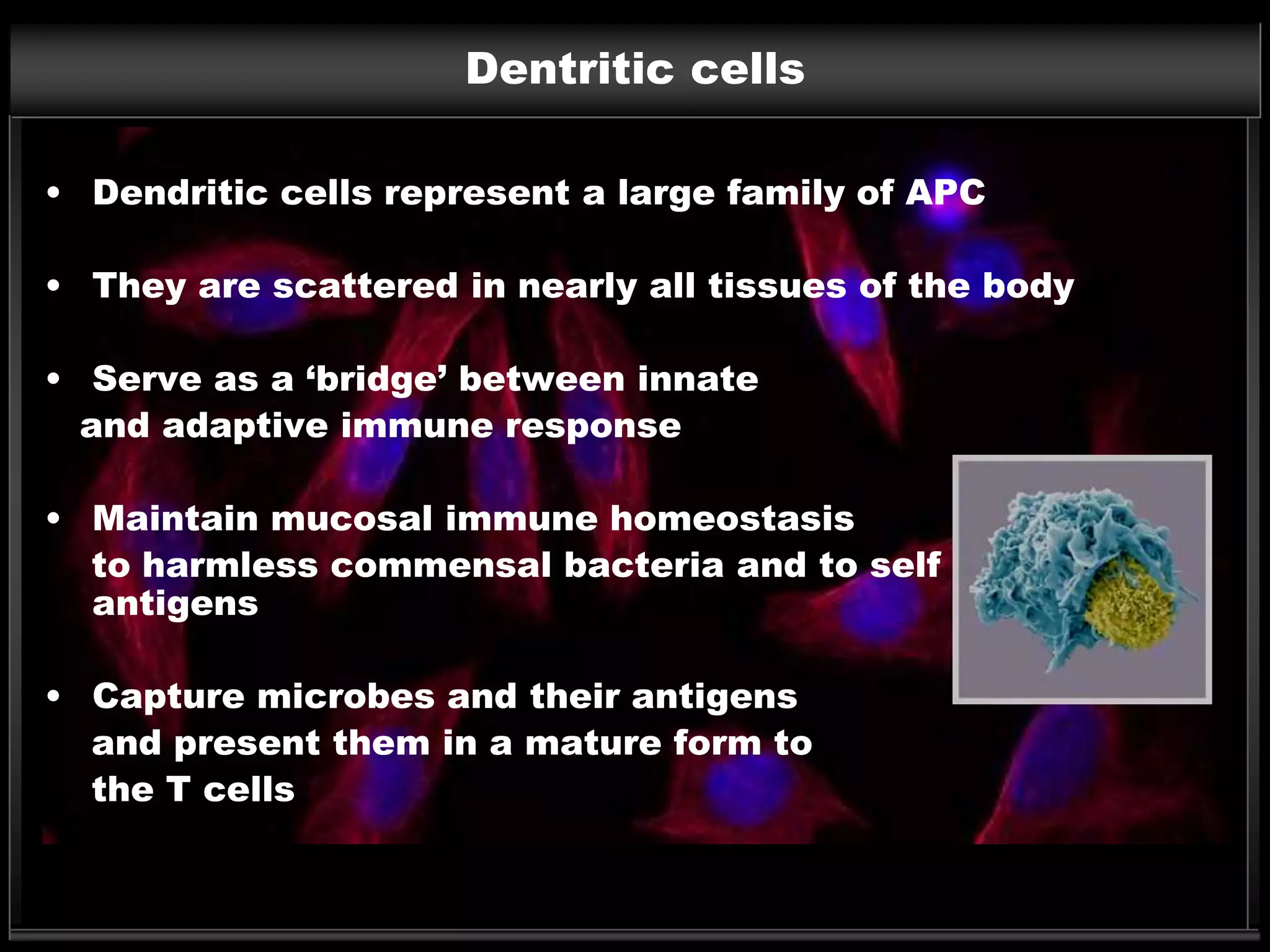 Immune responses in periodontal disease final.pptx