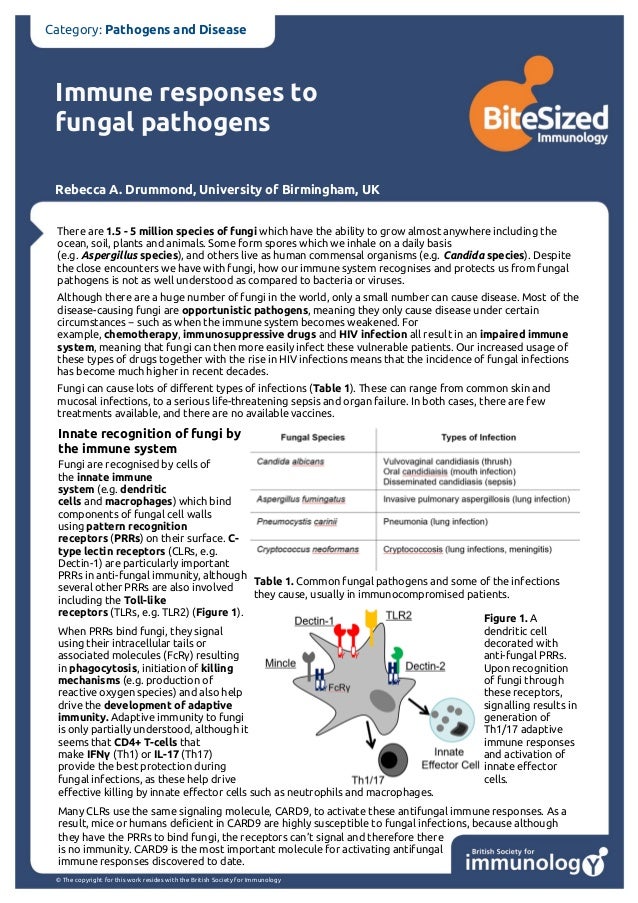 Immune responses to fungal pathogens.pdf
